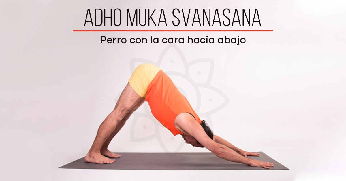 Adho Muka Svanasana • Yoga Espacio
