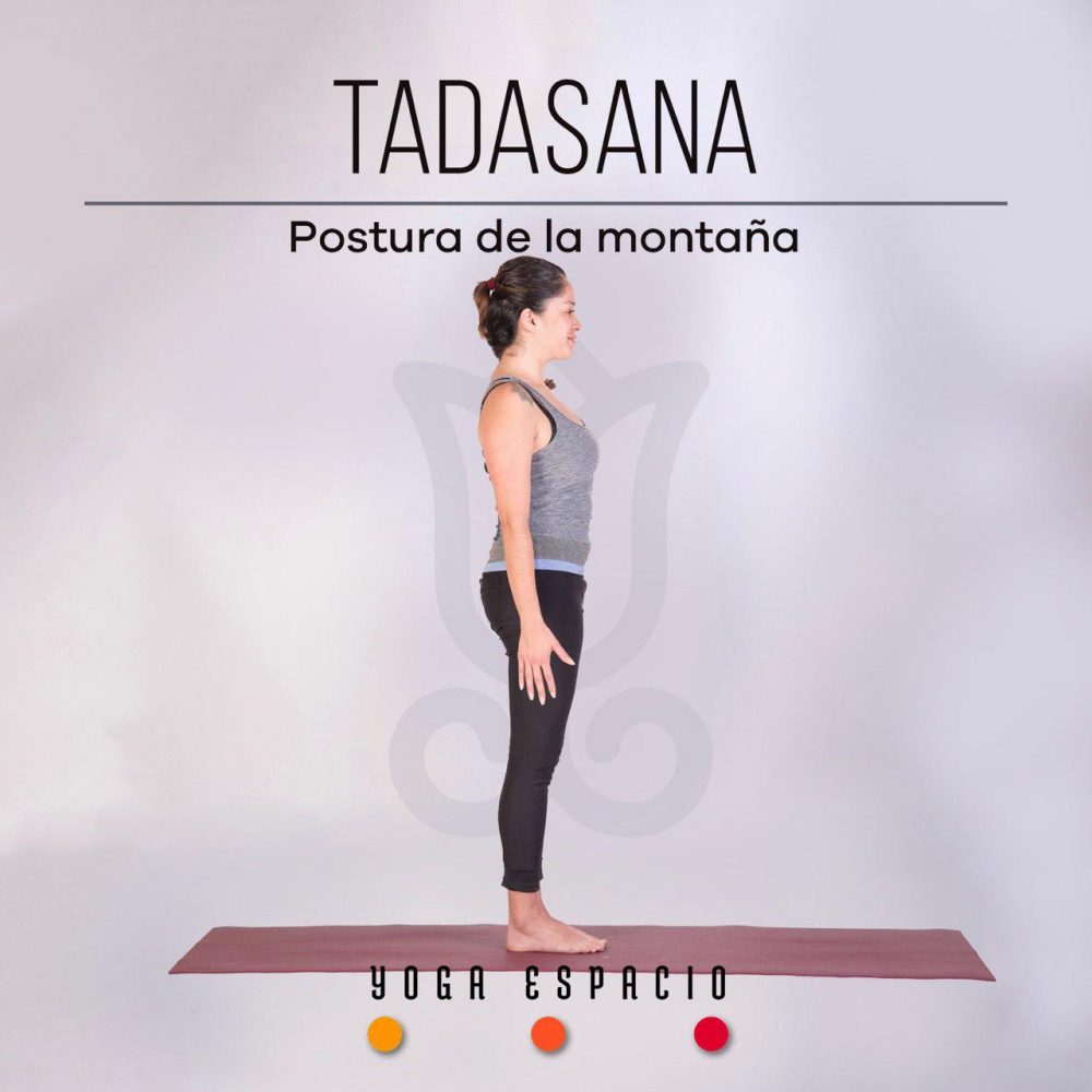 Yogapedia » Yoga Espacio : Yoga Espacio