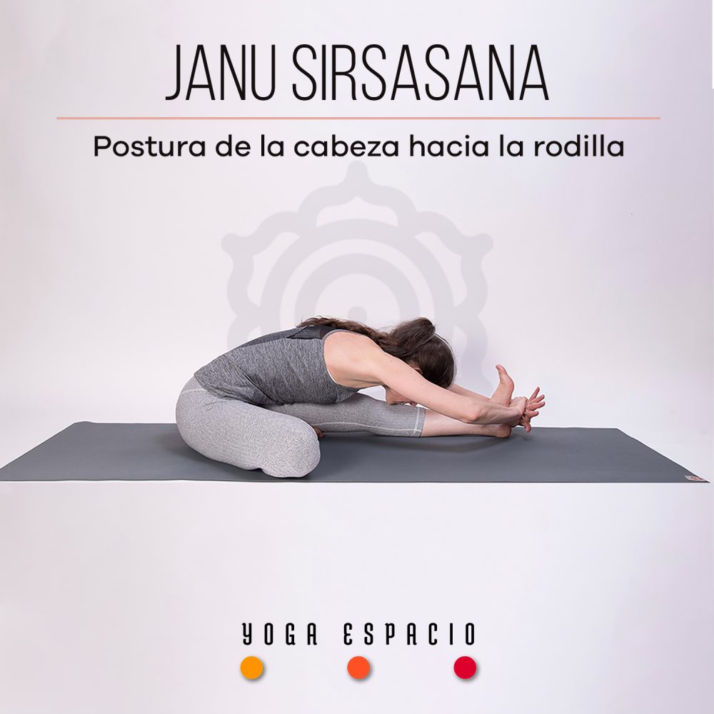 Yogapedia • Yoga Espacio