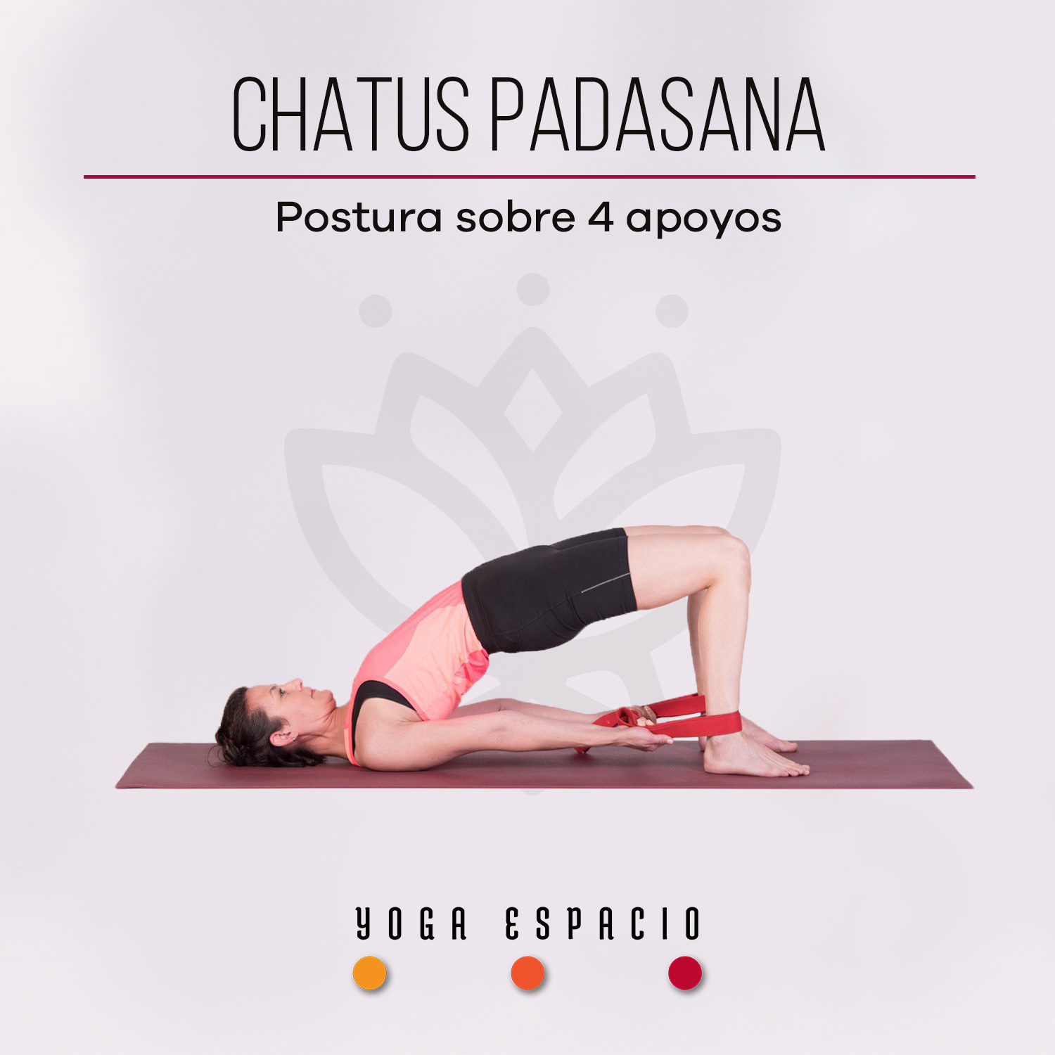 Chatus padasana • Yoga Espacio