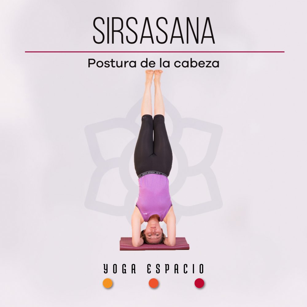 Yogapedia » Yoga Espacio : Yoga Espacio