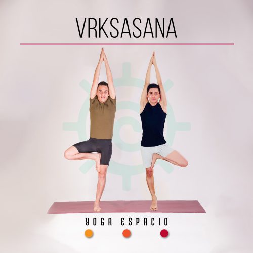 Yogapedia » Yoga Espacio : Yoga Espacio