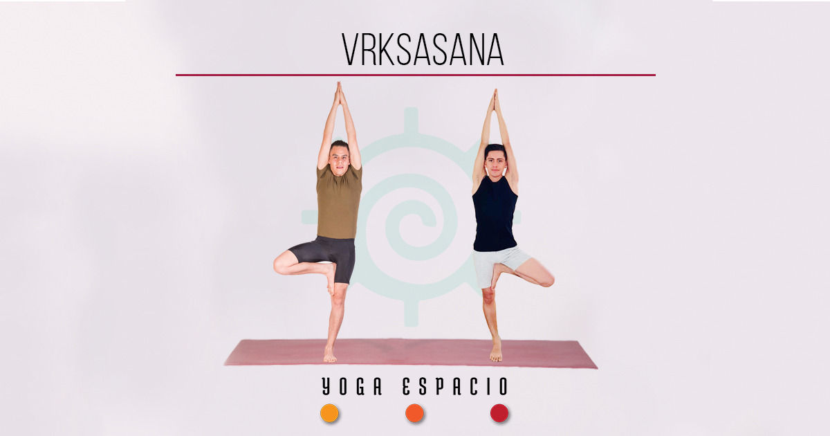 Vrksasana » Yoga Espacio : Yoga Espacio
